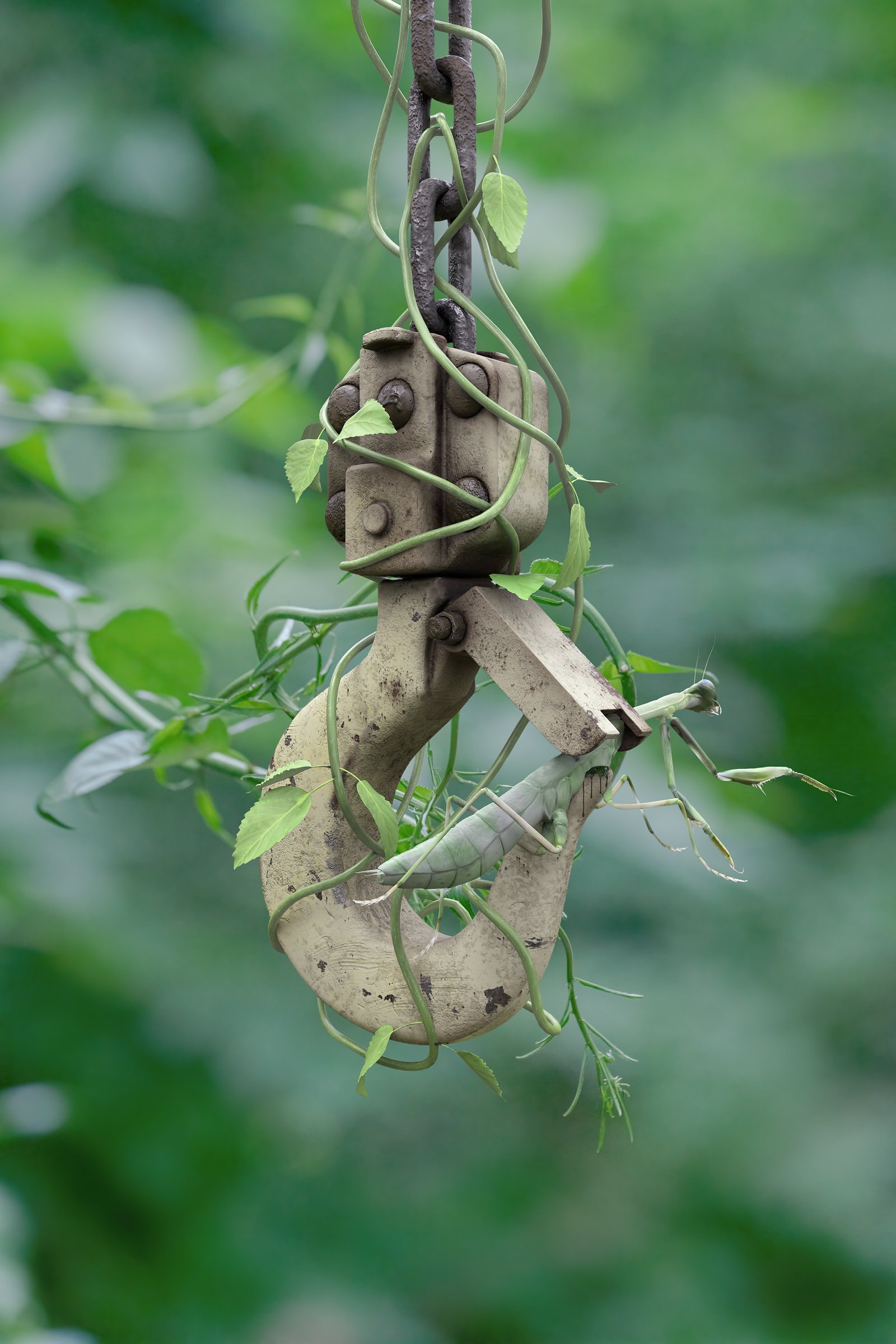 Mantis – Geoffrey Pugen