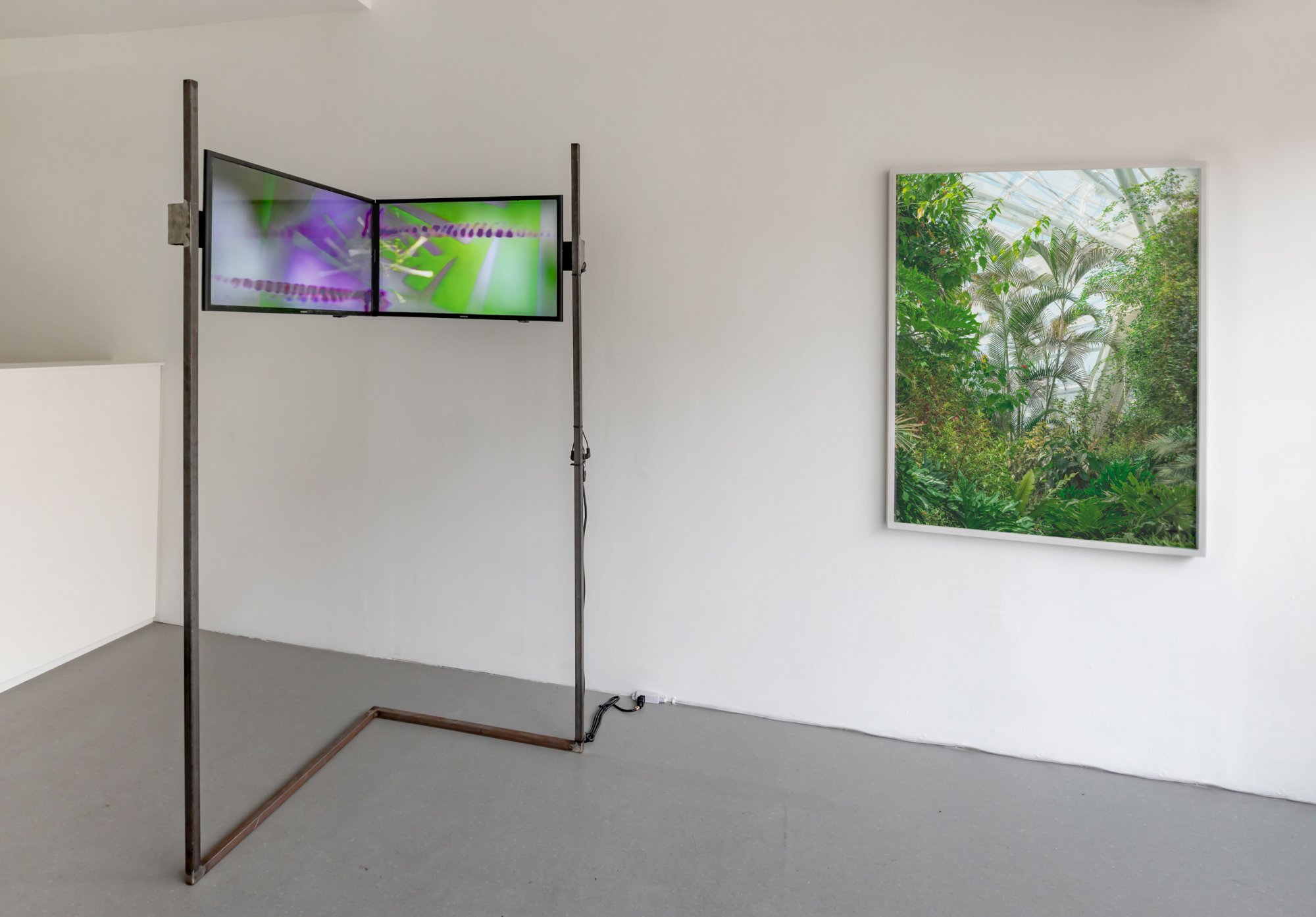 Weather Room – Geoffrey Pugen